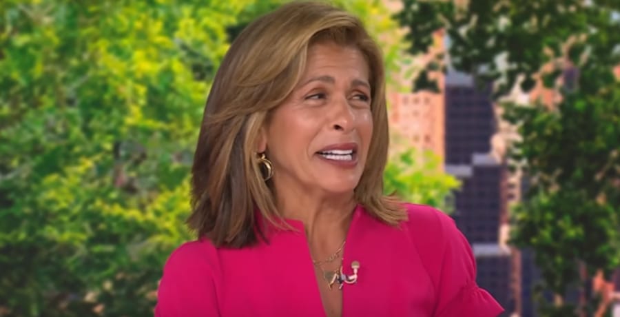 'Today': Hoda Kotb Spills She's Thirsty For Chris Meloni?