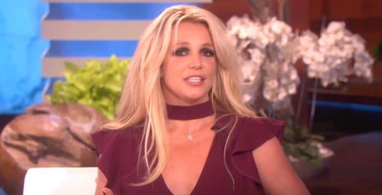 Britney Spears Lives 'Isolated' Life Five Years After 'Free Britney ...