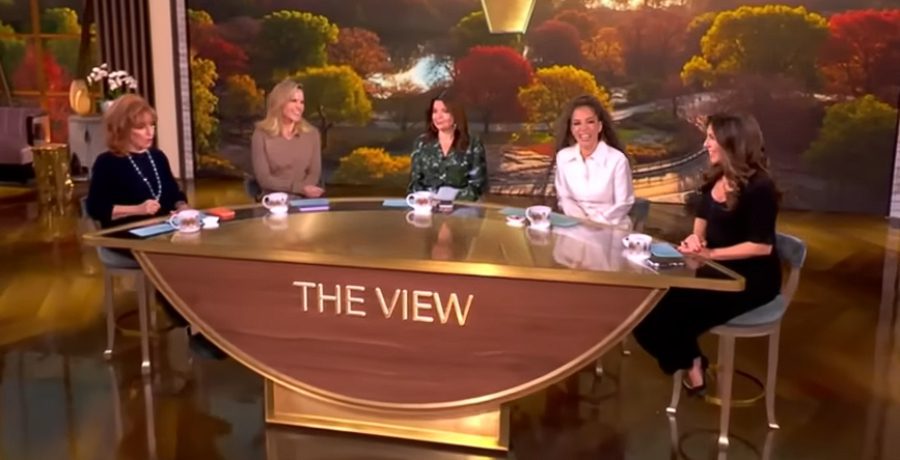 'The View' Former Host Reveals New Baby With Fans