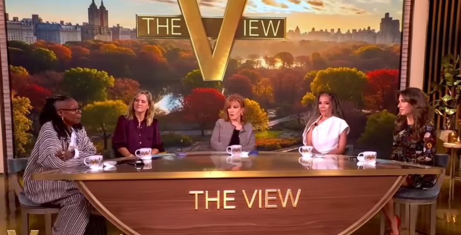 'The View' Former Host Reveals New Baby With Fans