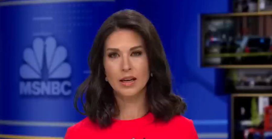 Ana Cabrera Confirms Exit From MS NOW, Leaving Fans Stunned ...